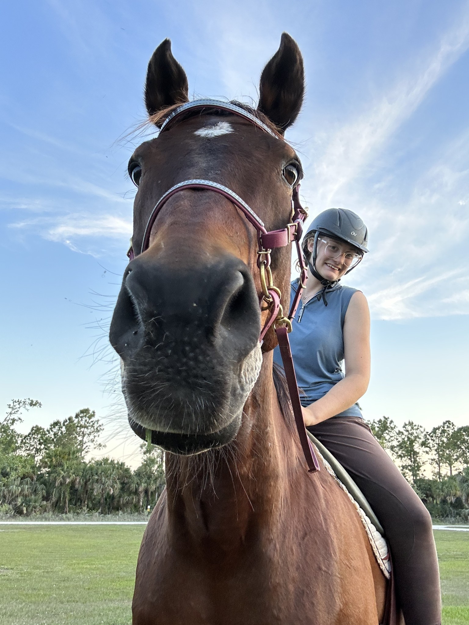 Track to Trail Thoroughbreds